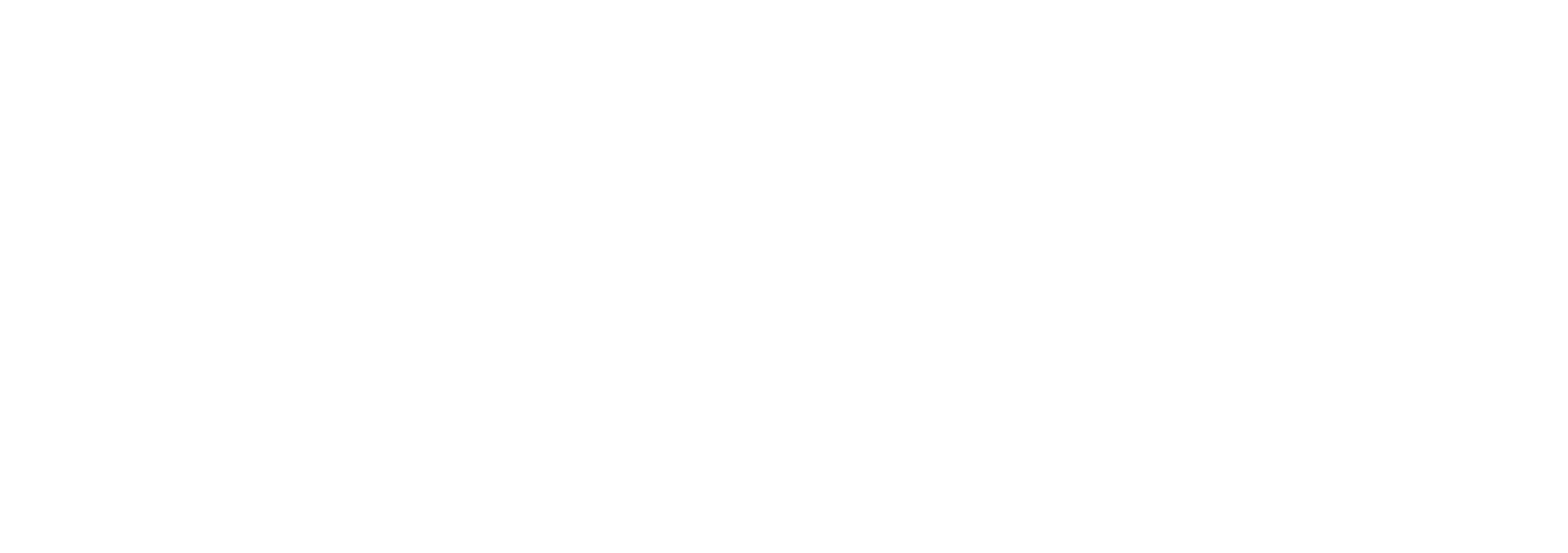 INFORCE - Seguridad Profesional